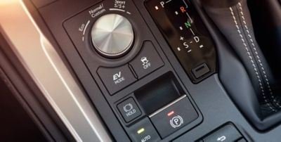 Otomatik Vites Harfleri ve Anlamları | Lexus Türkiye