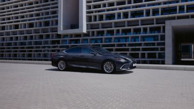 Cómo funciona el programa Lexus Business Plus | Lexus España