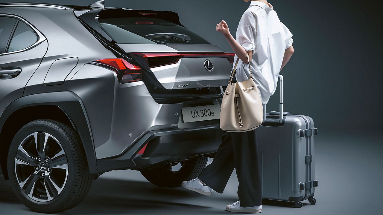 Toyota ux300e store
