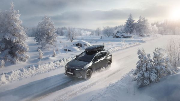 Accessories | Lexus Owners | Lexus Europe