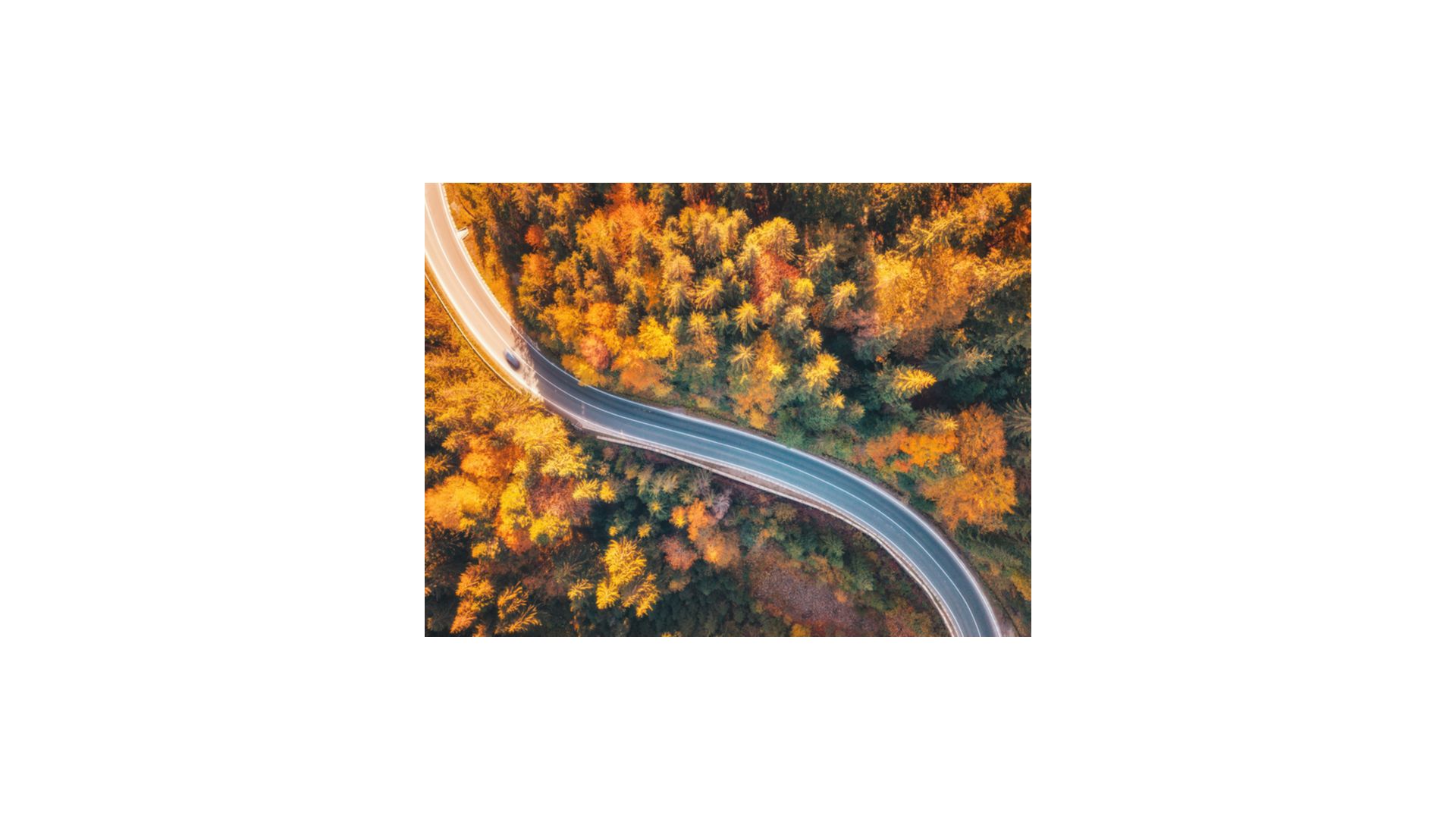 Autumn driving tips & hazards | News & Insights | KINTO UK