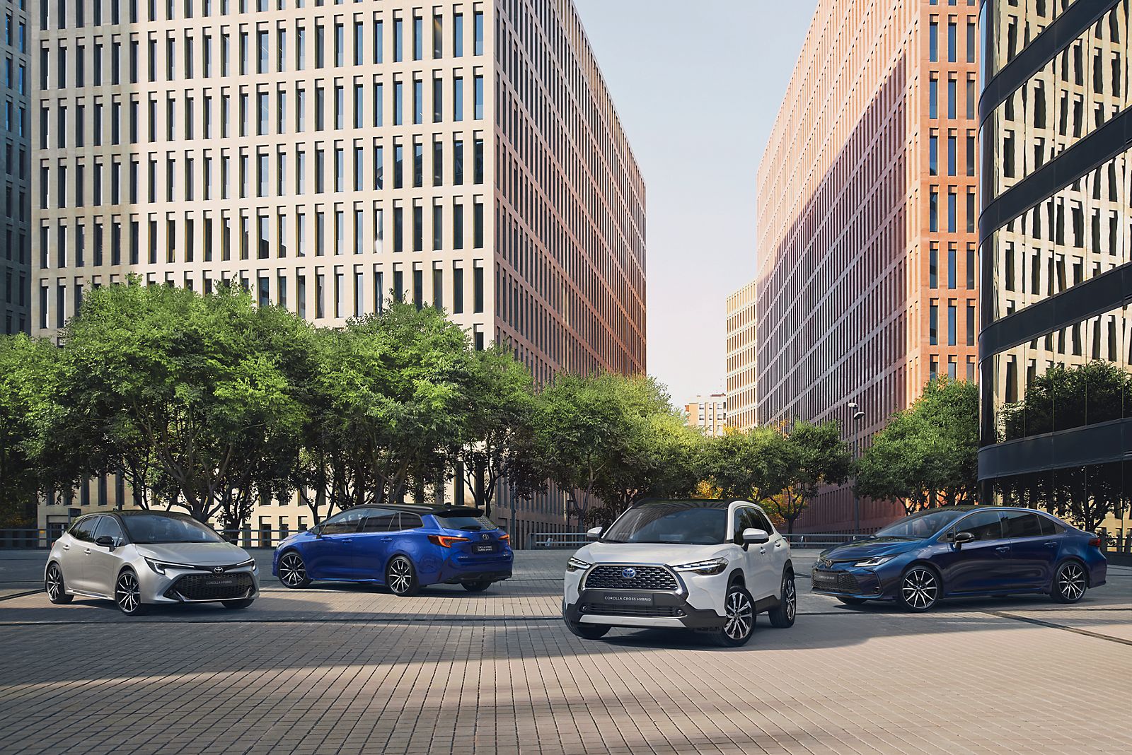 Conditiile Programului Rabla 2025, program derulat de AFM