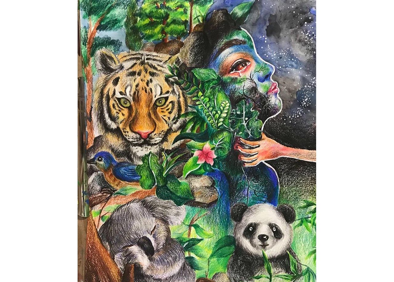 Drawings For Competition