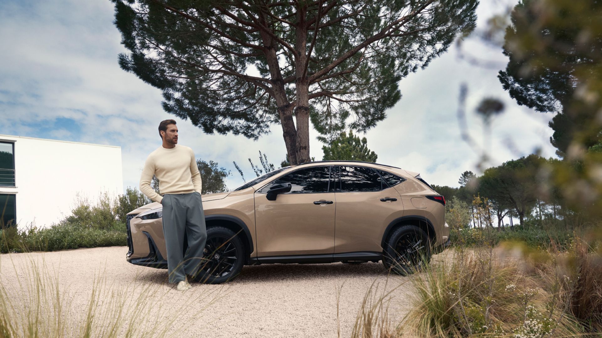 Lexus Protect | Ceramic Coating | Lexus Cyprus