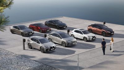 For Fleet Managers | Manage Your Fleet | Lexus UK