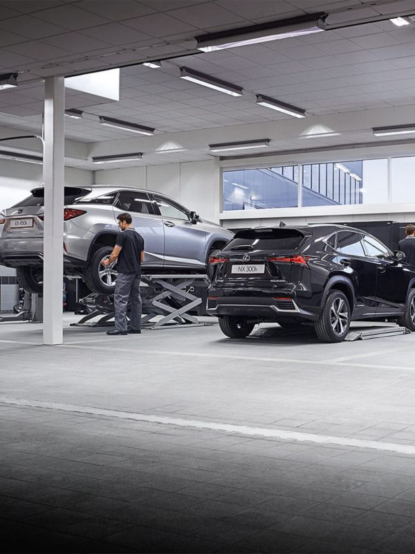 Lexus Warranty | Extended Warranty with Servicing | Lexus UK