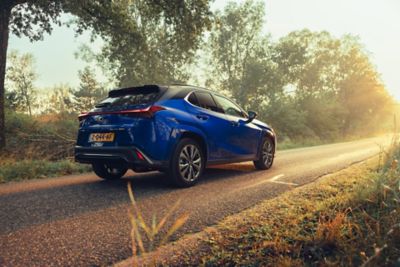 Optimale bandenspanning voor uw Lexus | Lexus.nl