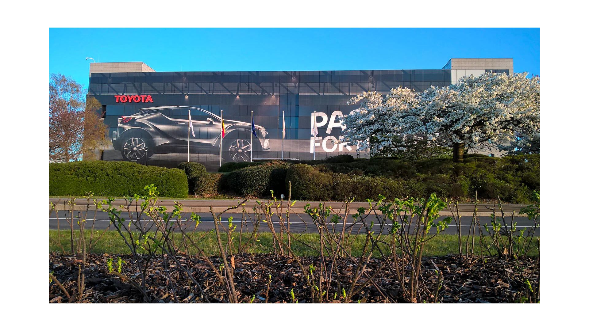 Work, news and events from Toyota | Toyota Ireland