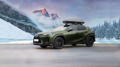 Lexus Care | Lexus Polska