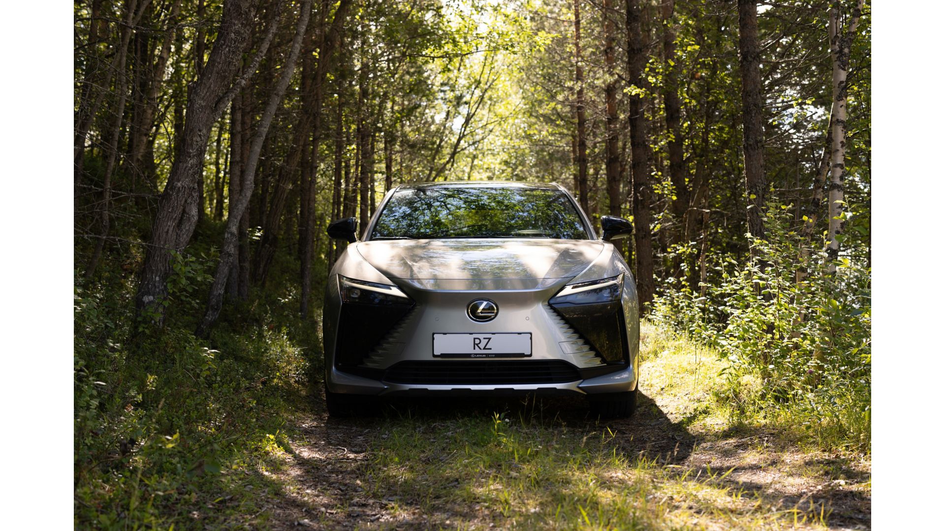 Alt du trenger å vite om elbil | Lexus Norge