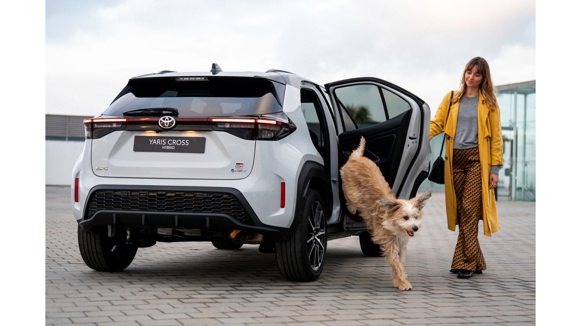 Aidez moi à choisir le meilleur modèle | Toyota Luxembourg