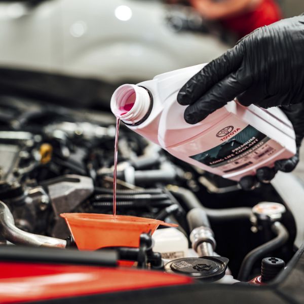 Toyota Express Service | Dla aut firmowych i prywatnych