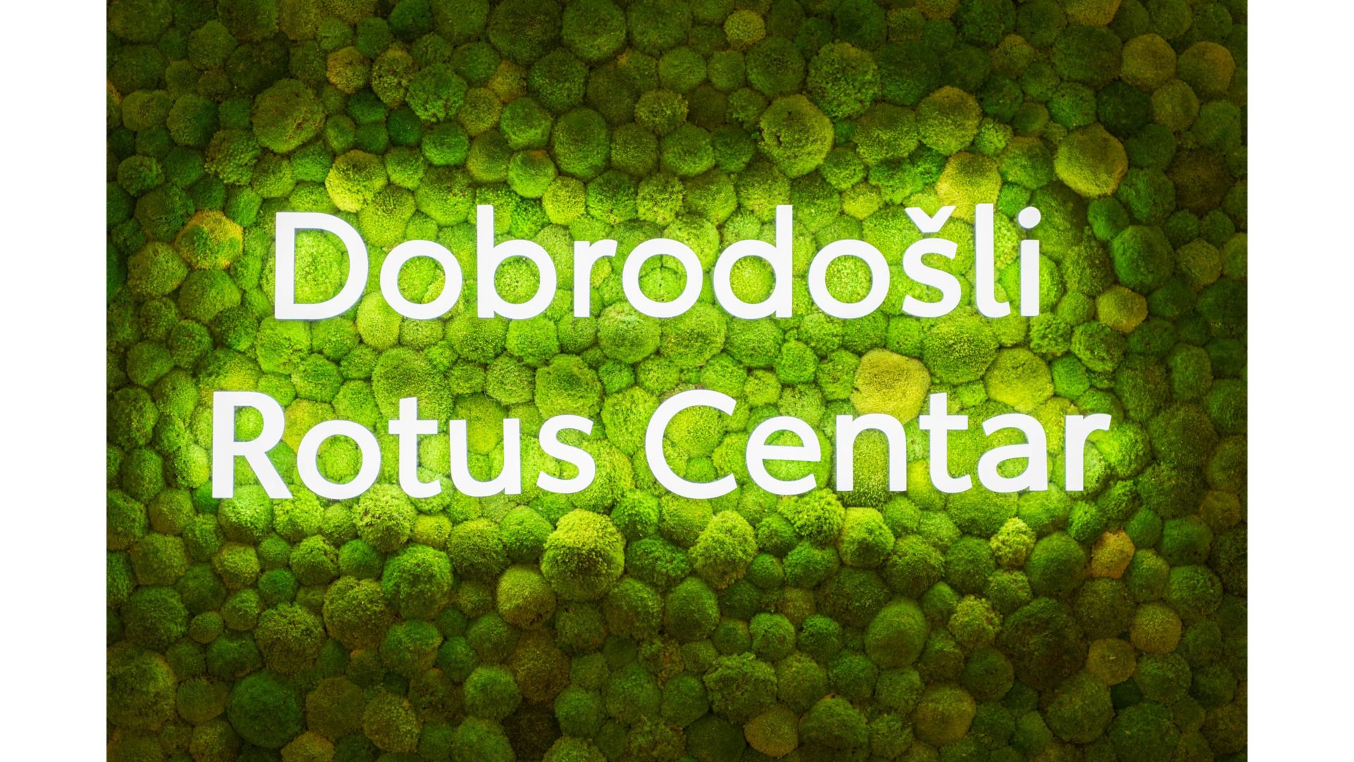 Otvaranje salona Rotus Centar | Toyota Hrvatska