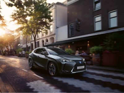 Lexus Business: Soluzioni aziende e professionisti | Lexus Italia
