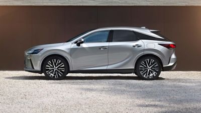 RX Experience | Lexus [Country]