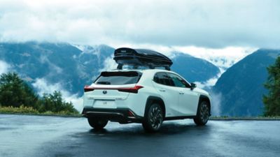 Lexus winter guide | Lexus Europe