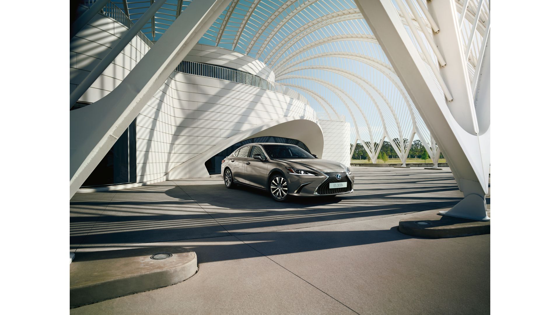 New Cars | Lexus Business | Lexus Europe