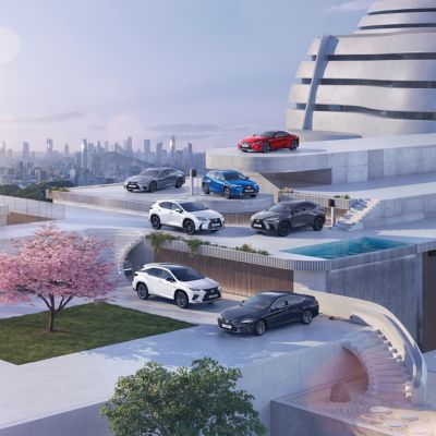 For Fleet Managers | Manage Your Fleet | Lexus UK