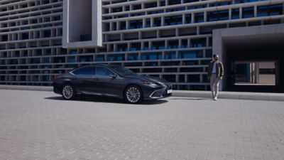 Lexus Income Protection & Insurance | Lexus UK