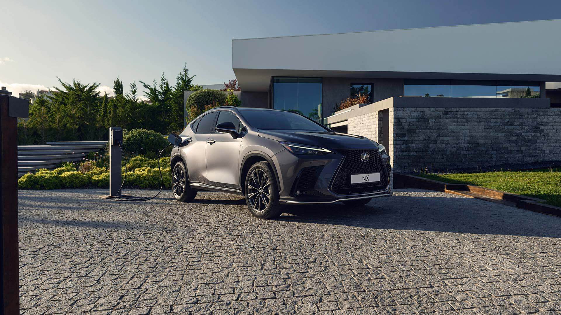 Plug-in Hybrid