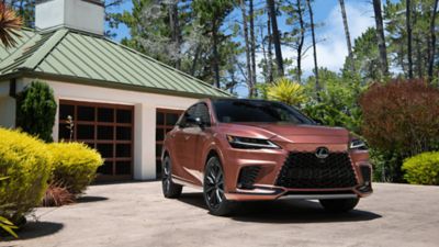 Lexus Lifestyle - Gezi Rehberleri & Sağlık | Lexus Türkiye