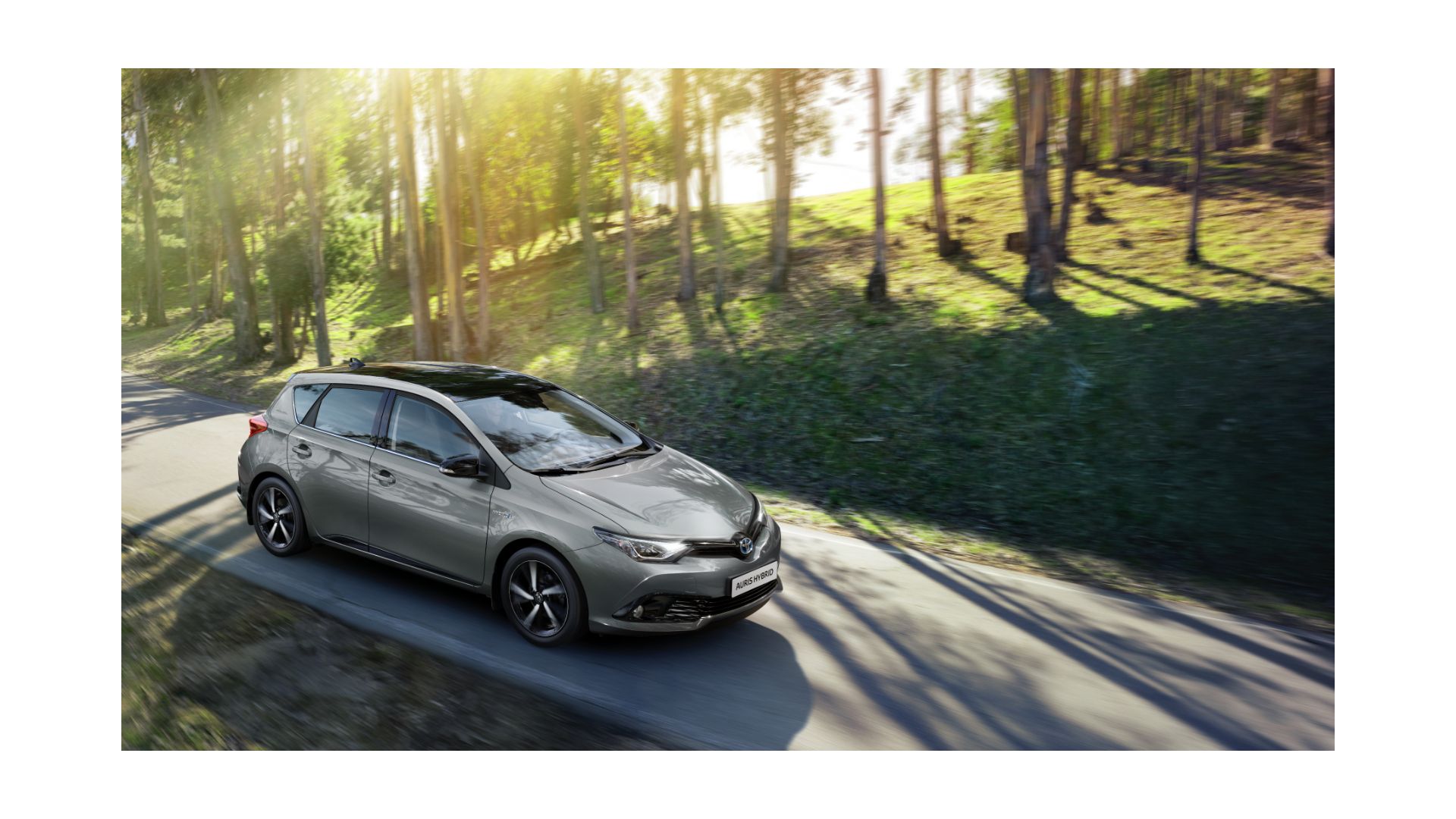 KNEDLER SJ - Toyota Polska | Oryginalne części regenerowane fabrycznie